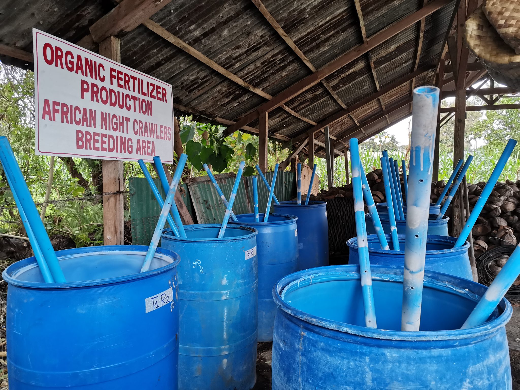 SU project turns organic waste into fertilizer | Silliman University