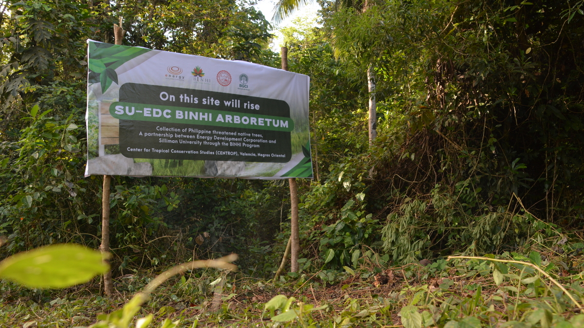 SU, EDC plants first 100 endangered PH tree species in arboretum ...